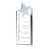 Personalized Rising Star Award For Employees | DIY Awards