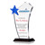Board of Director Appreciation Award Plaque | DIY Awards